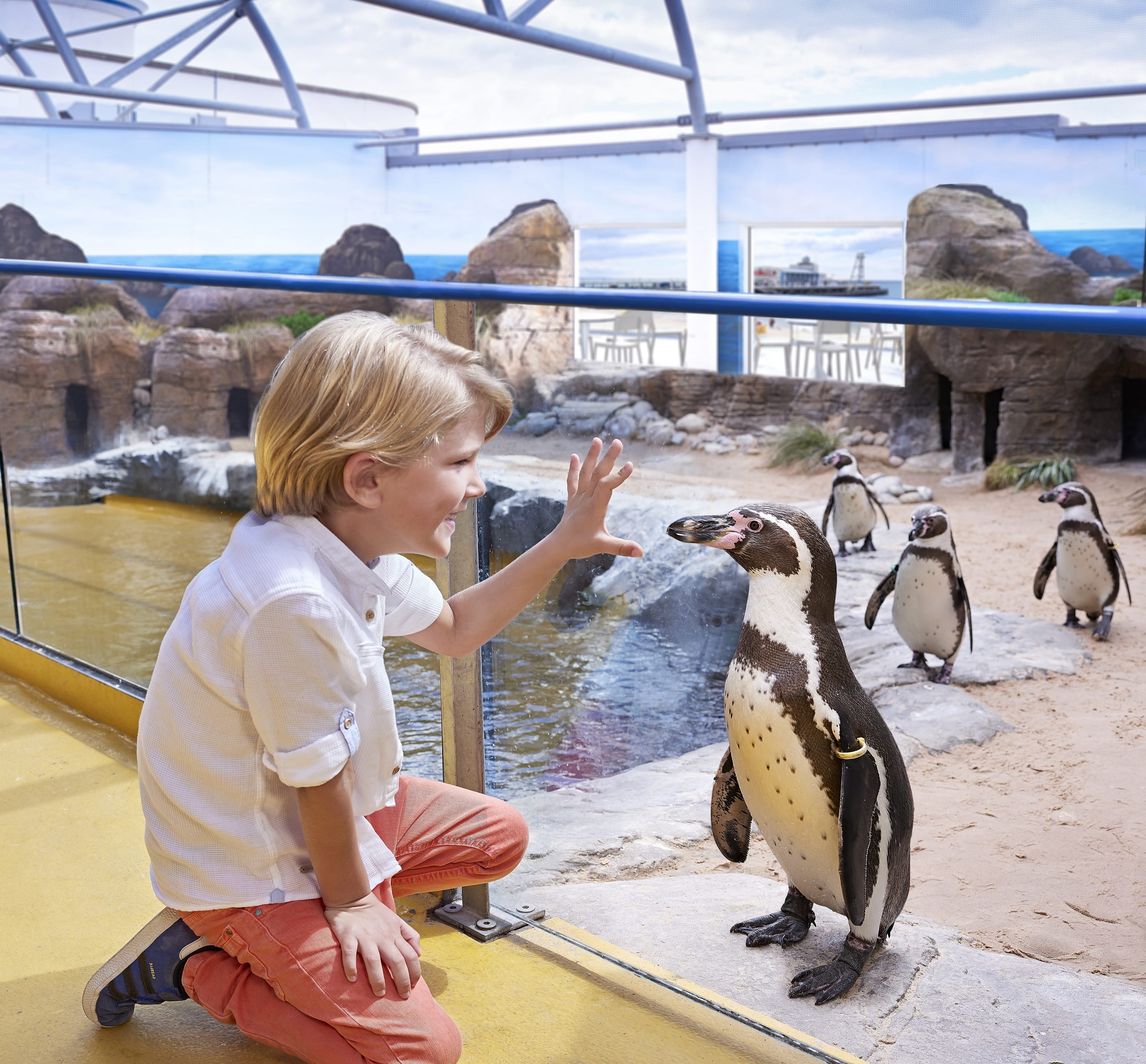 Oceanarium chose TOR Systems, leaders of ticketing, Booking systems